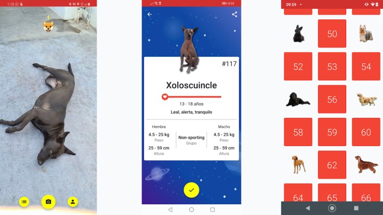 Todogs: Un side project que se convirtió en algo más. – Hackaprende